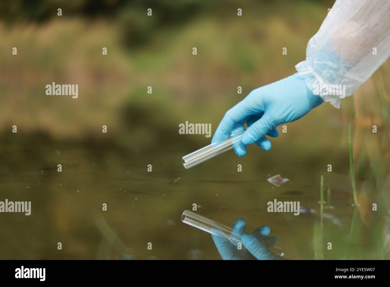 Examination of water quality. Researcher taking water sample from lake ...