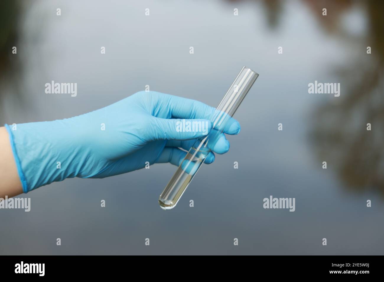 Examination of water quality. Researcher holding test tube with sample ...