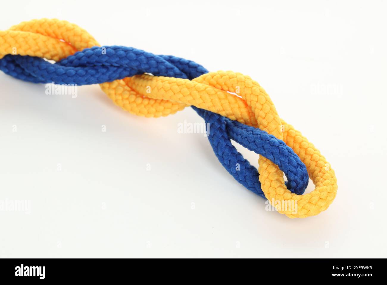 Colorful ropes tied together isolated on white. Unity concept Stock ...