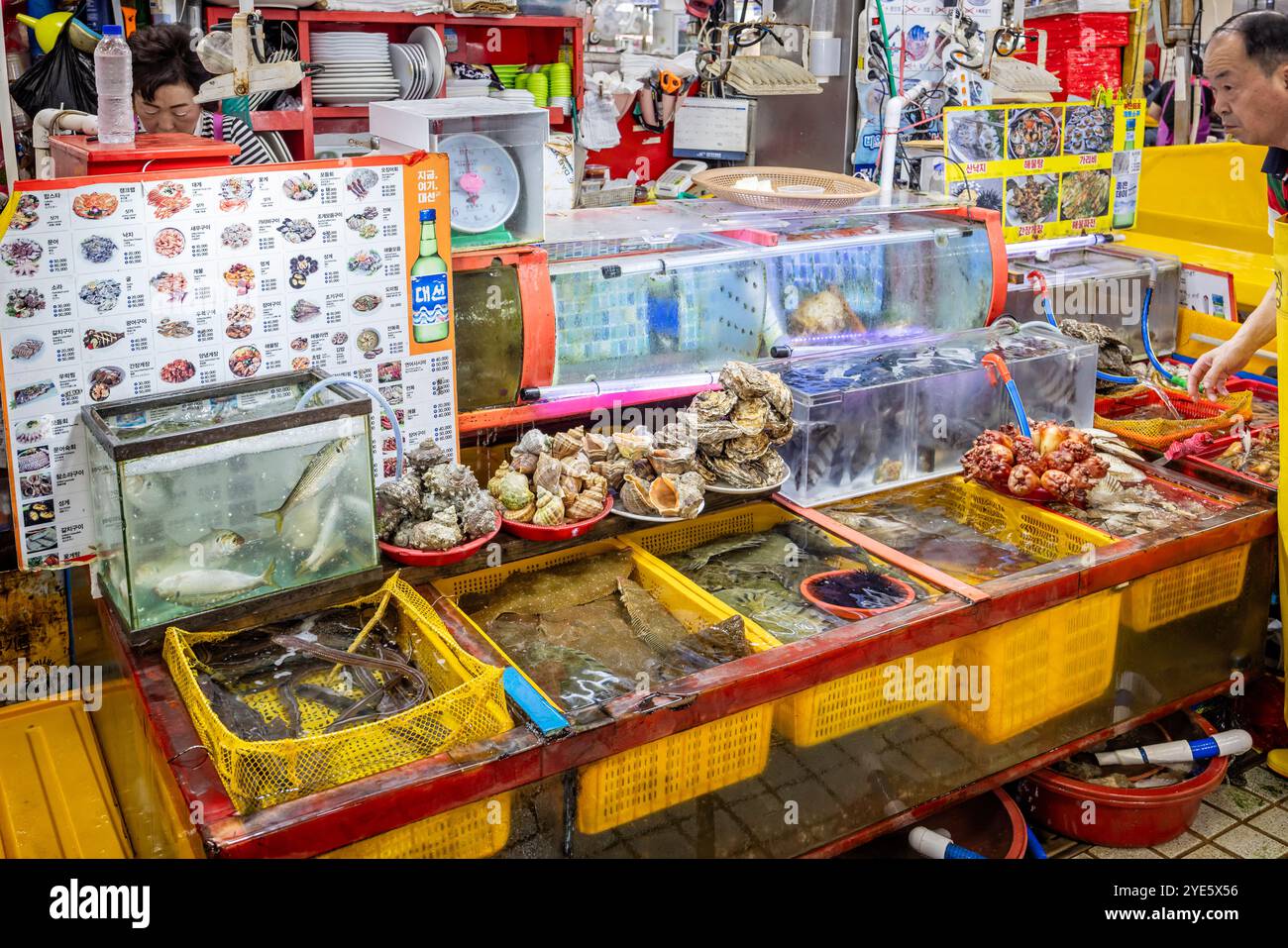 Shellfish and fish for sale on stall inside Jagalchi Fish Market, Busan ...