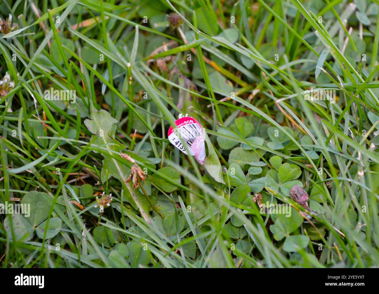 A plastic produce sticker sits discarded in the grass where it will ...