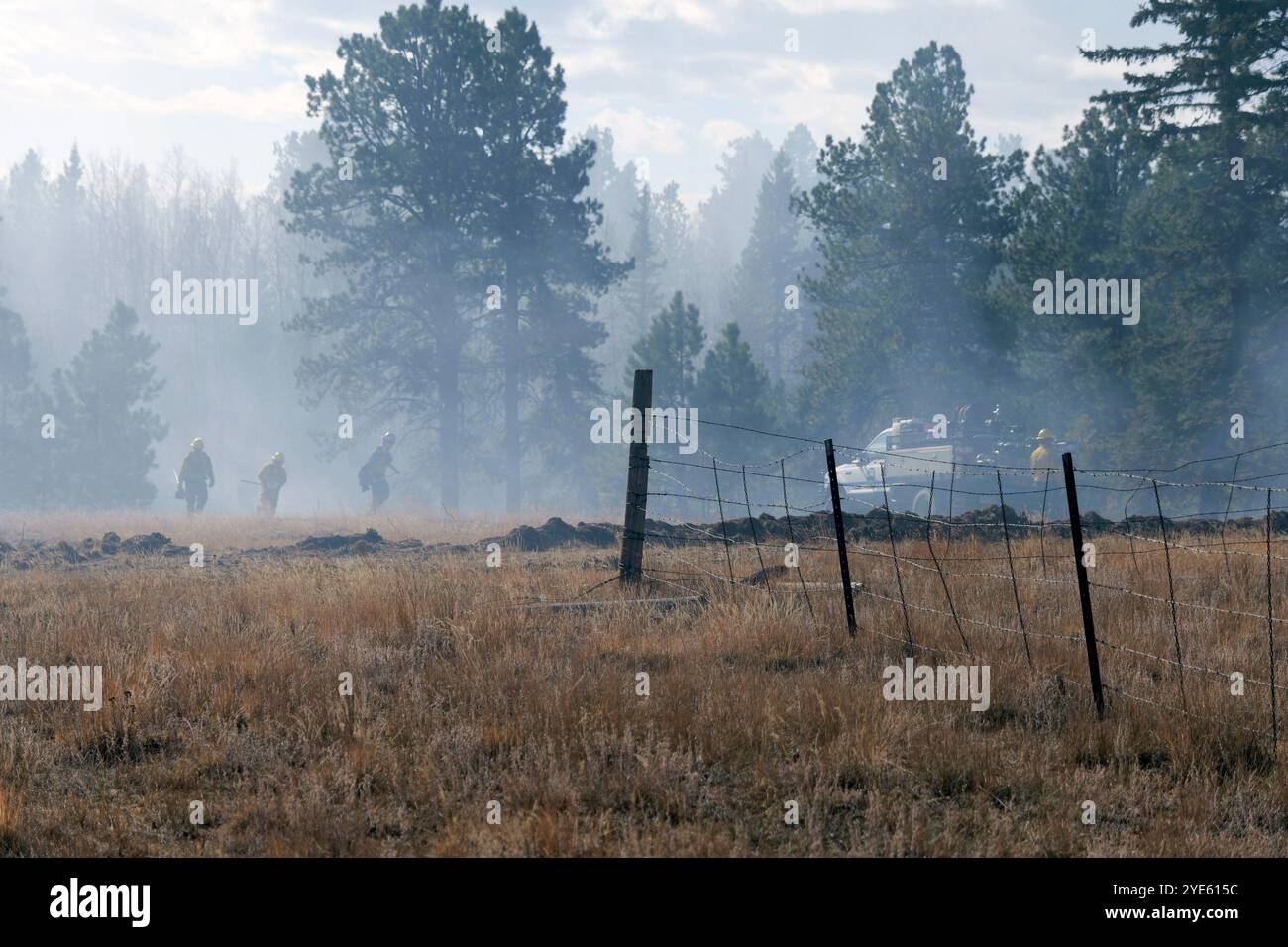 This picture made available by Teller County Sheriff's Office, shows a ...