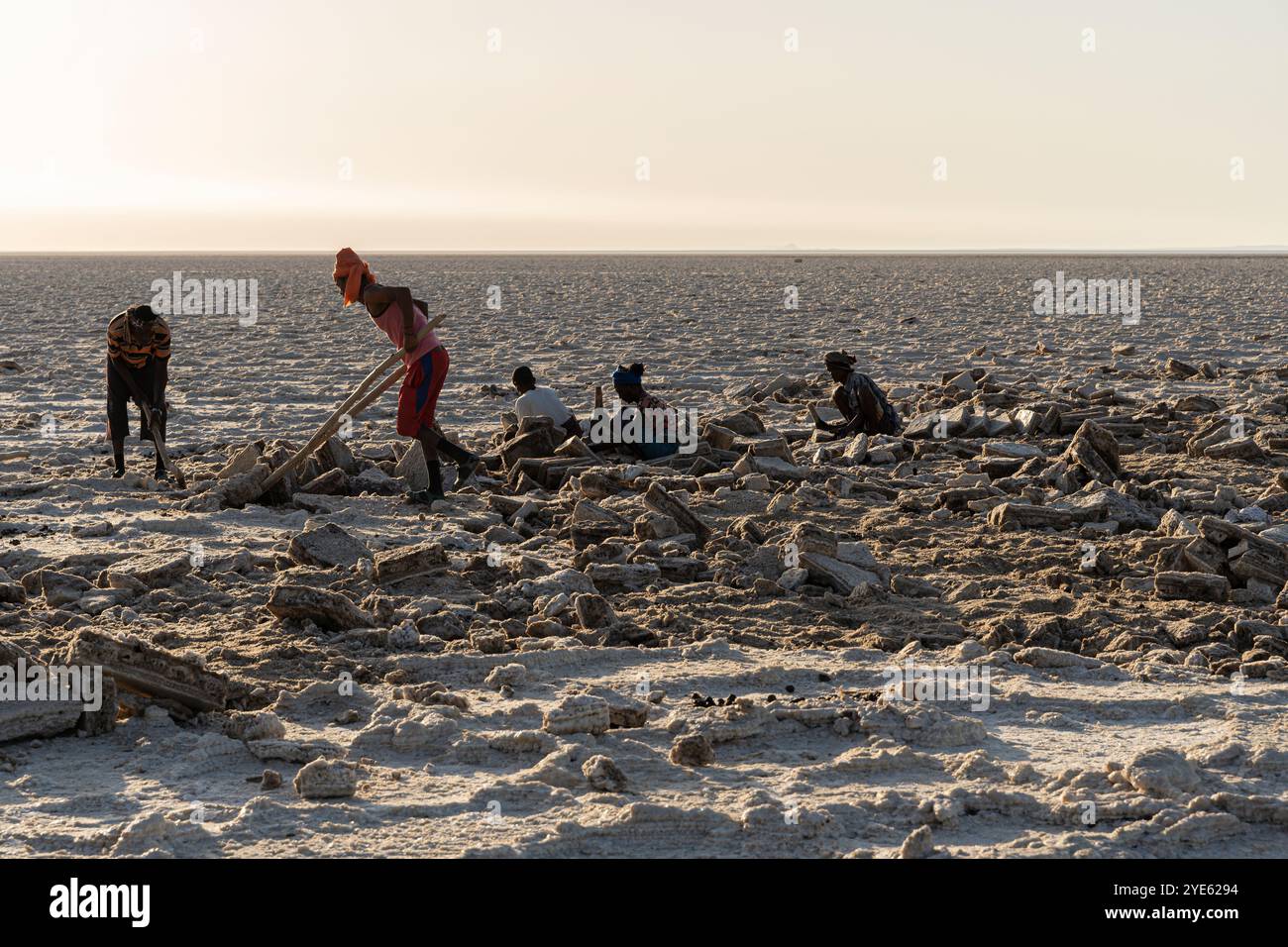 Salt workers breaking with wooden crowbars salt blocks from the salt ...