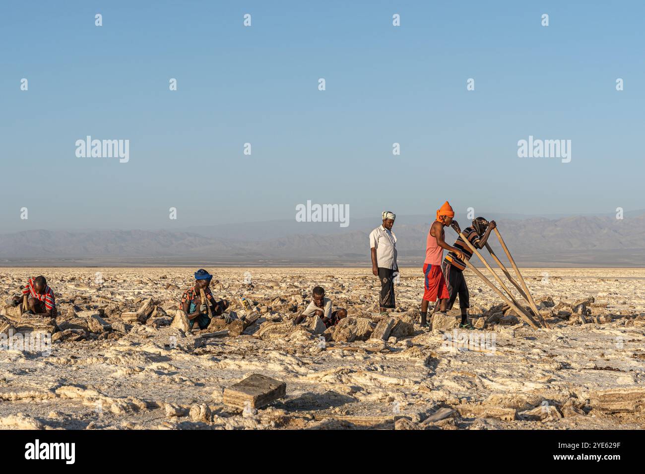 Salt workers breaking with wooden crowbars salt blocks from the salt ...