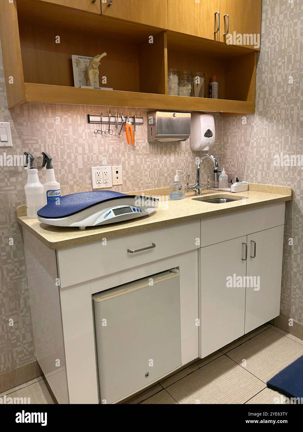 Veterinary office interior Stock Photo - Alamy