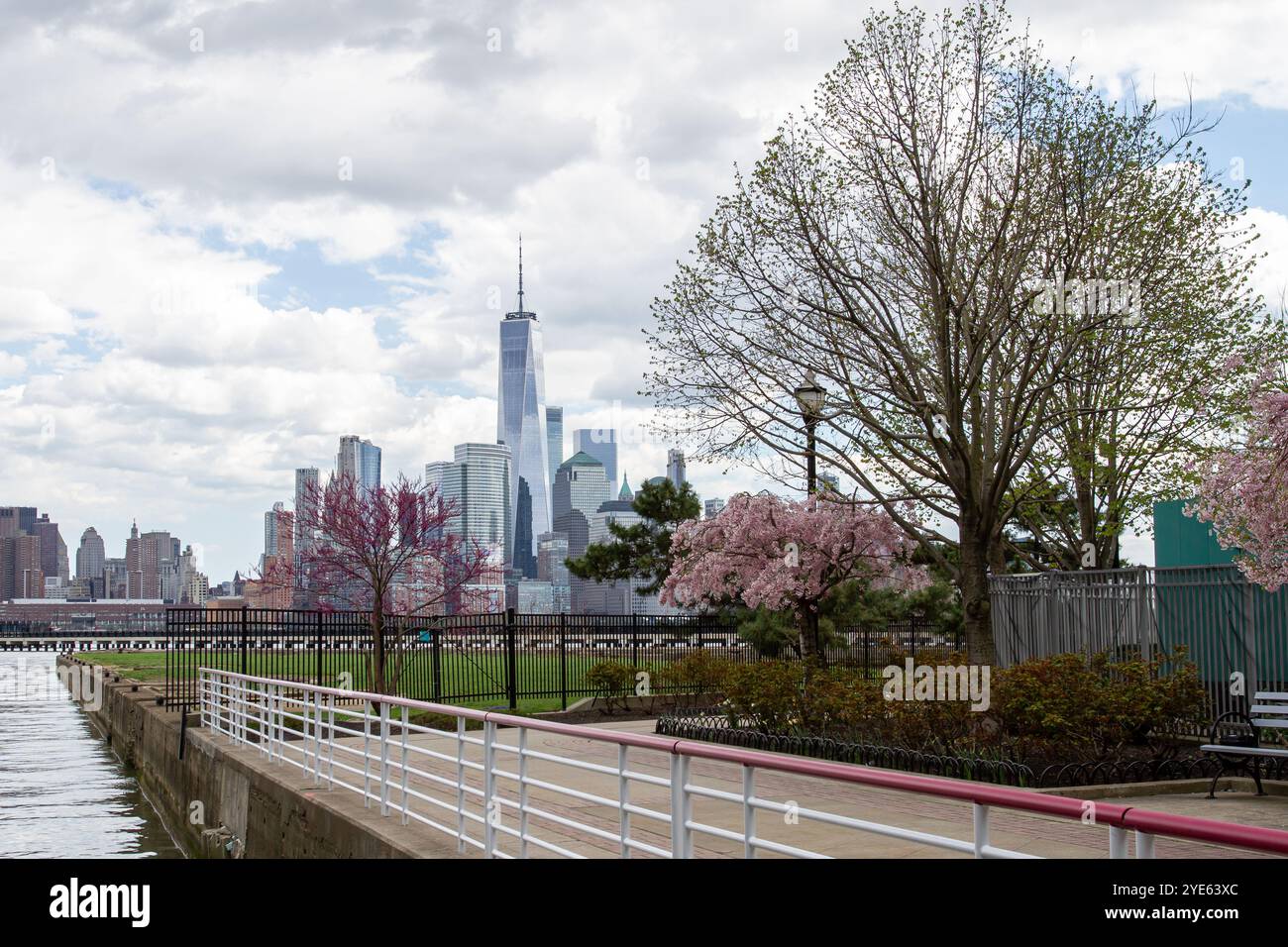 A lively urban setting with trees in full bloom, signaling the arrival ...
