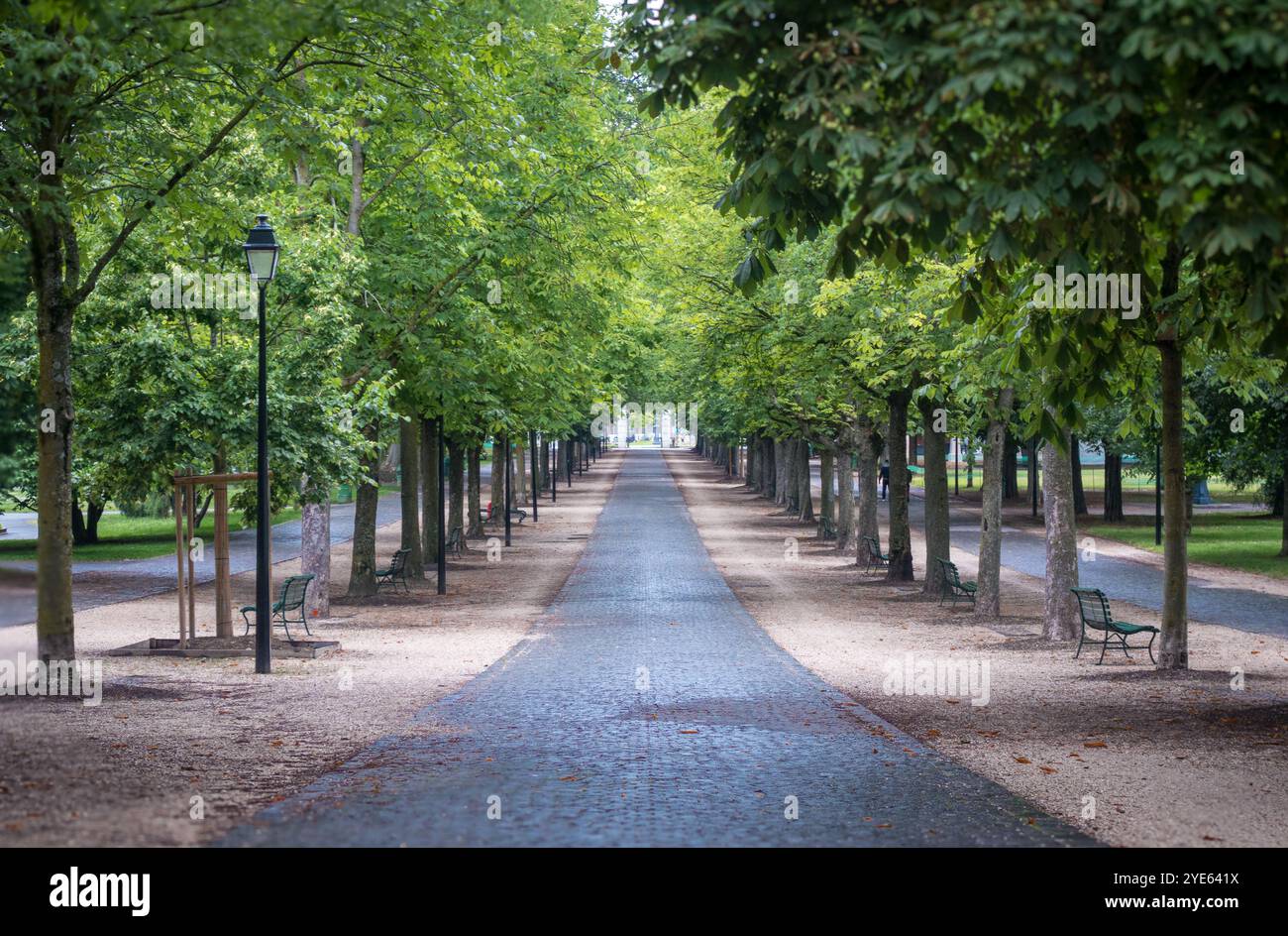 A straight path hi-res stock photography and images - Alamy