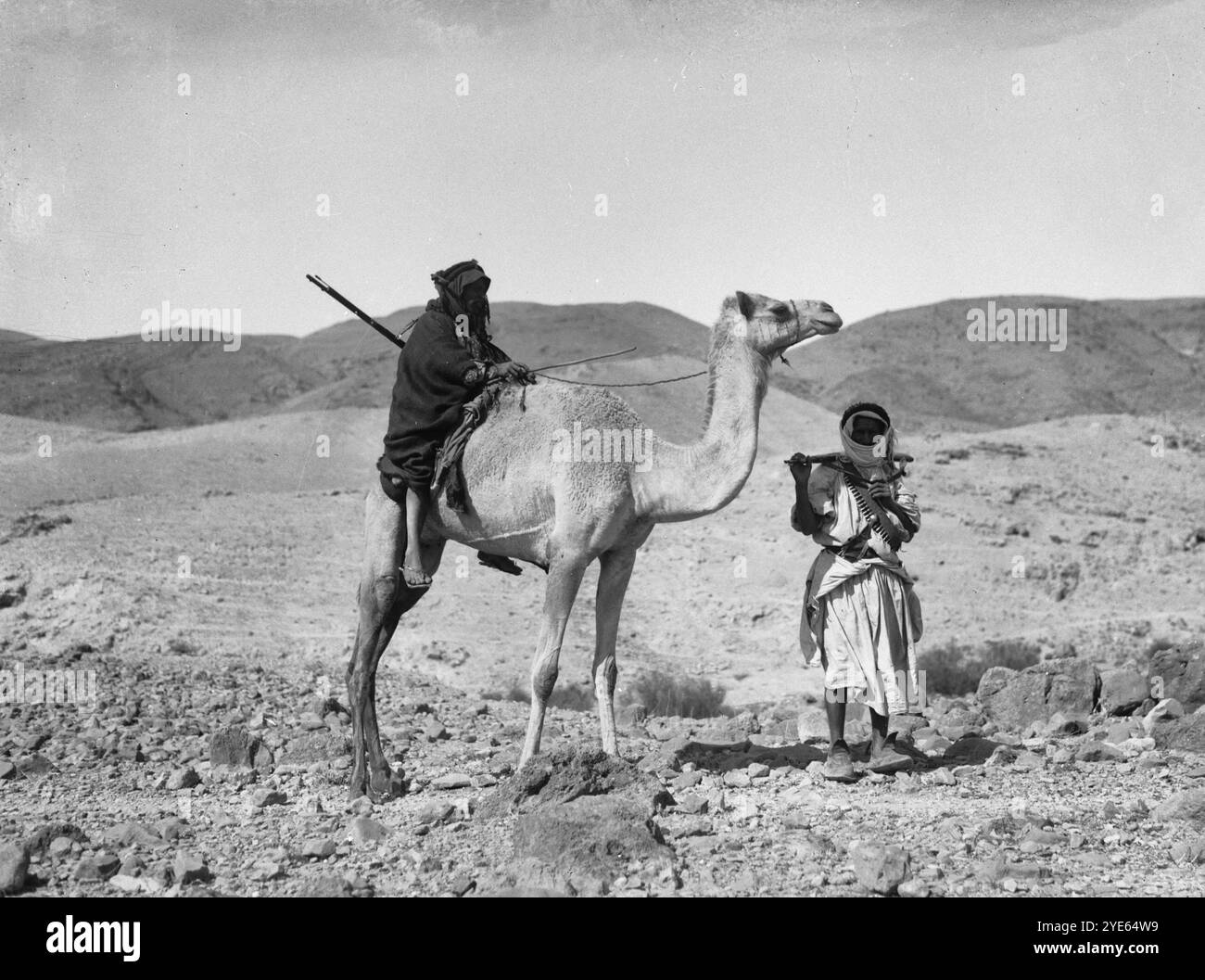 Etc riding on camel hi-res stock photography and images - Alamy