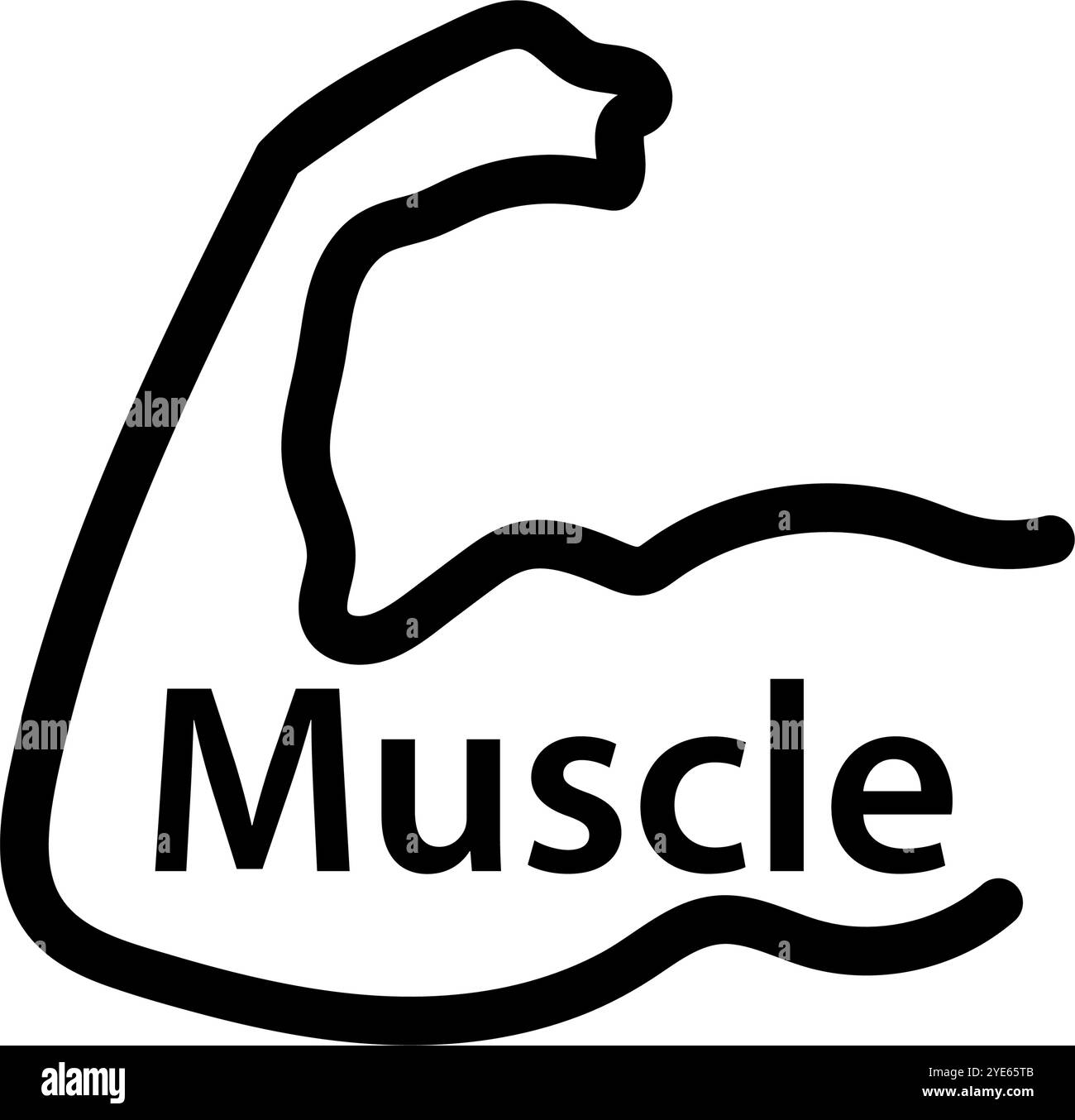 Bicep muscle to flex Cut Out Stock Images & Pictures - Alamy