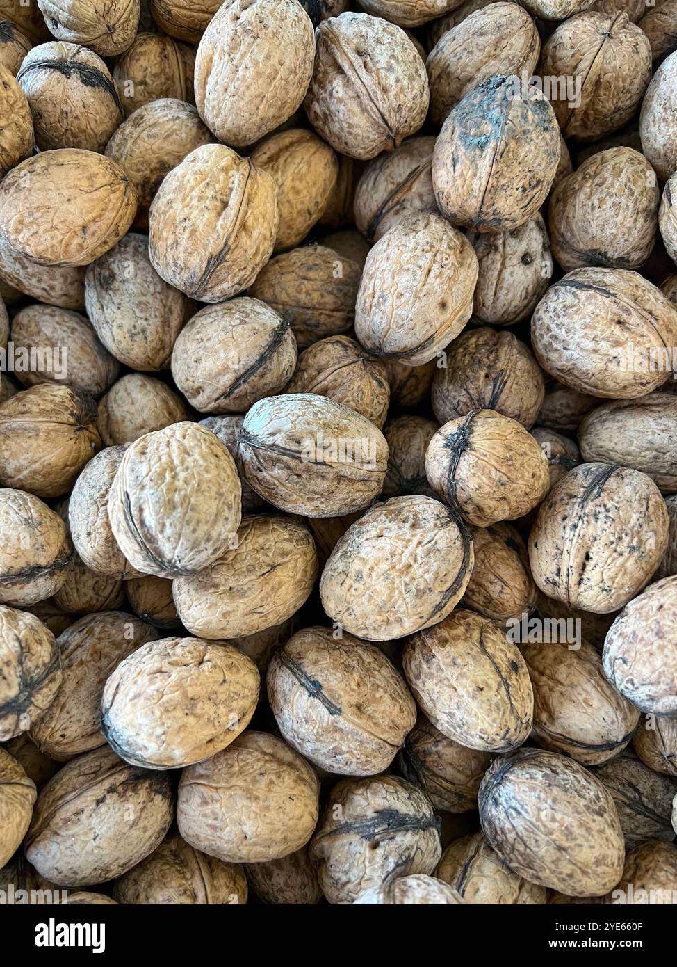 Fruits and vegetables from the market. Walnuts in shell, lot of walnuts ...