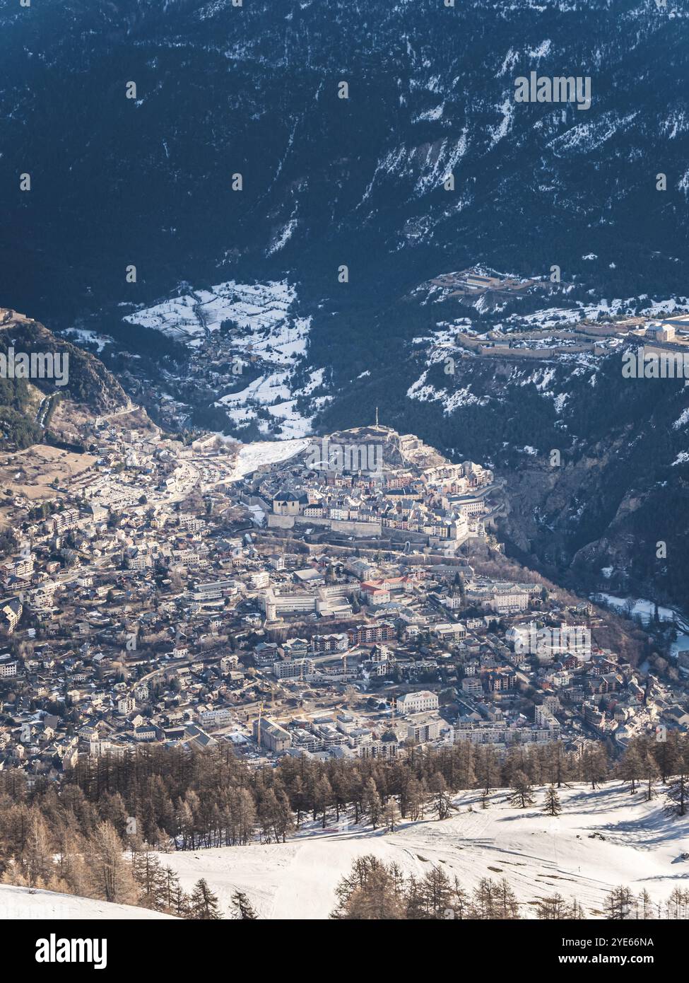 Cold dense snowy forest valley hi-res stock photography and images - Alamy
