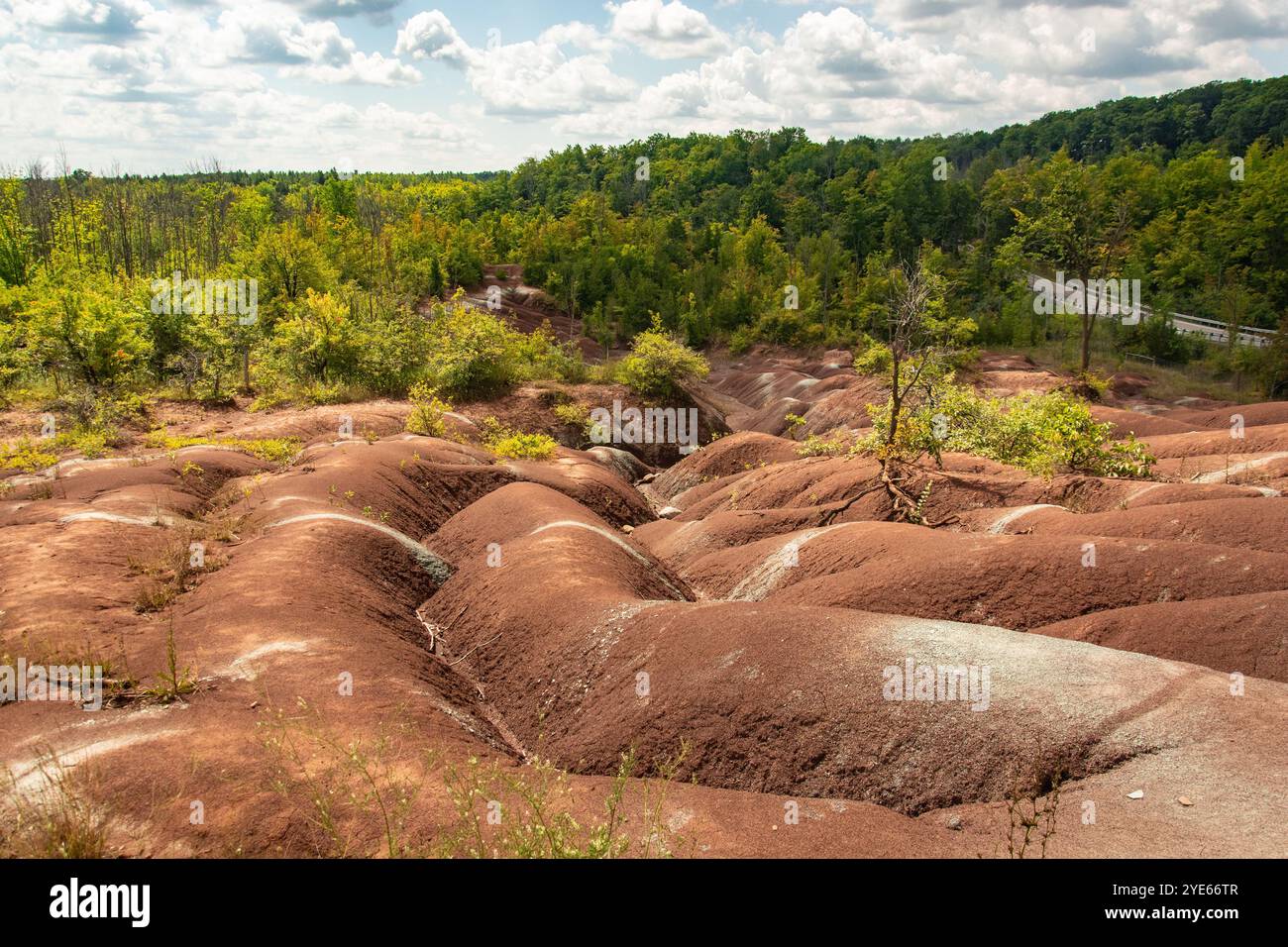 Scenic View of Rolling Badlands Amid Lush Green Forest Stock Photo - Alamy