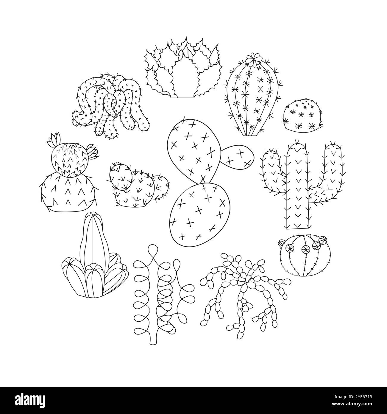 Composition of cacti in a circle shape in doodle style. Vector ...