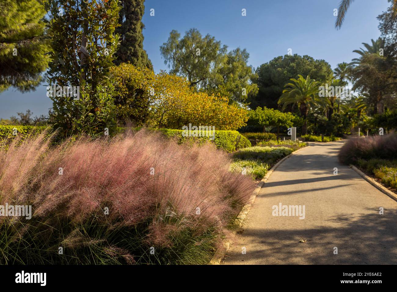 Zichron Yaakov, Israel - October 22, 2024, the park Ramat Hanadiv, path ...