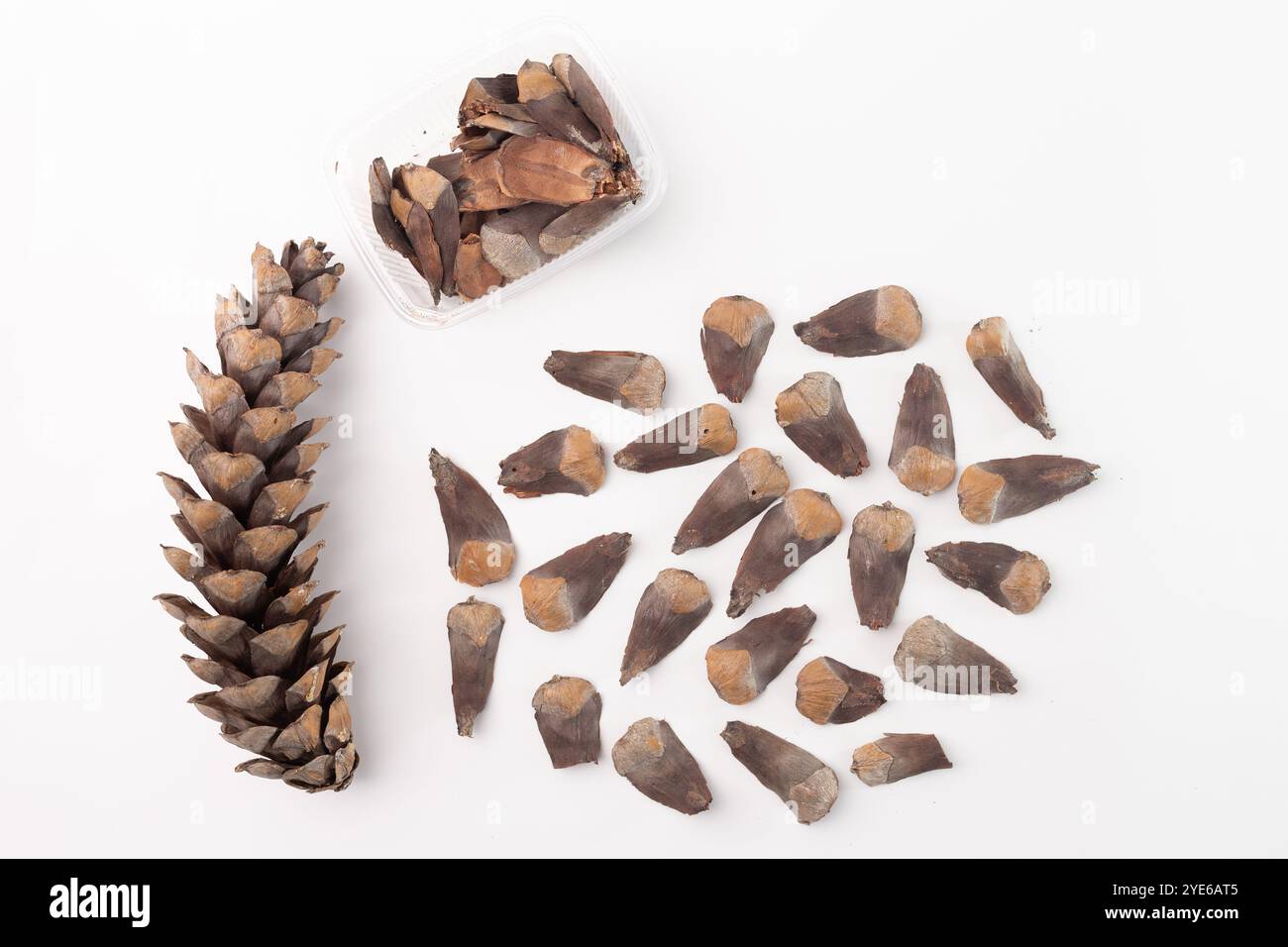 a bunch of peeled seed scales sitting next to a pine cone, part of ...