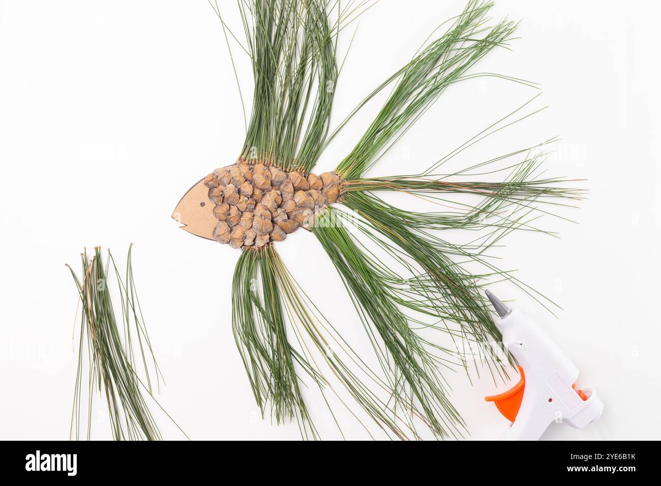 Botanical craft project hi-res stock photography and images - Alamy
