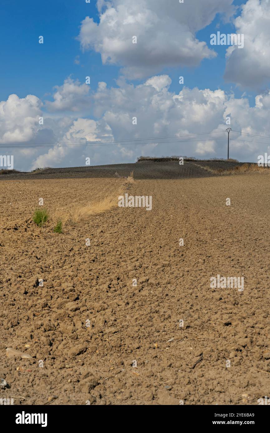 Like cotton candy floating in the sky, white clouds contrast with the ...