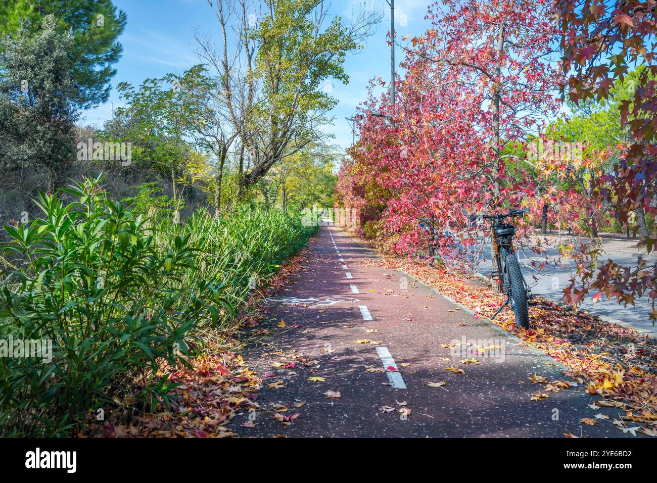 As you pedal, the leaves crunch under your wheels, producing a ...