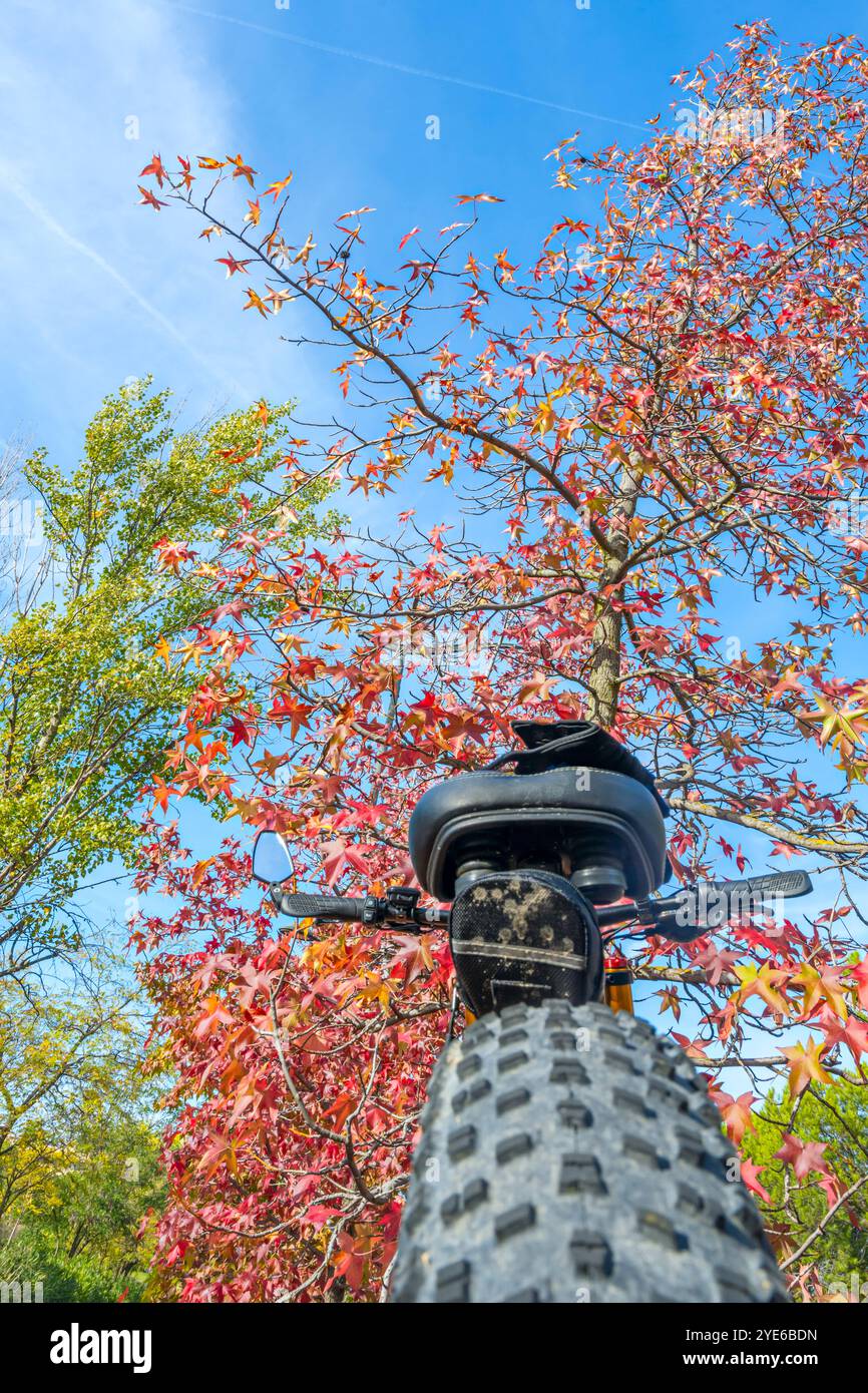 This type of landscape evokes feelings of nostalgia and melancholy ...