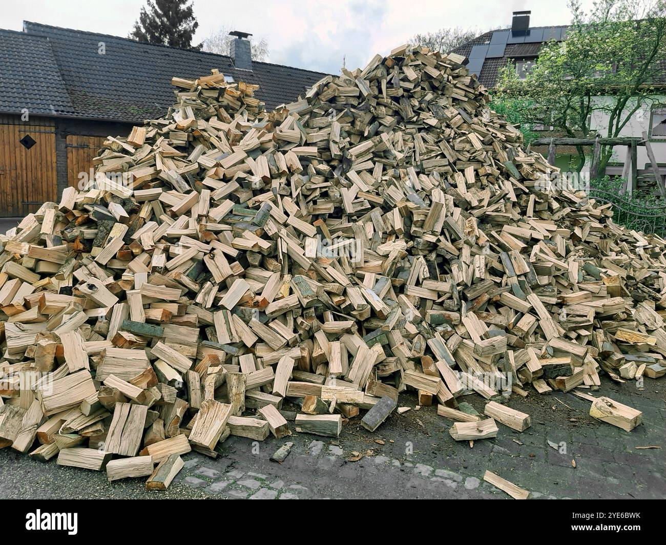 pile of beech logs for firewood utilisation, Germany Stock Photo - Alamy
