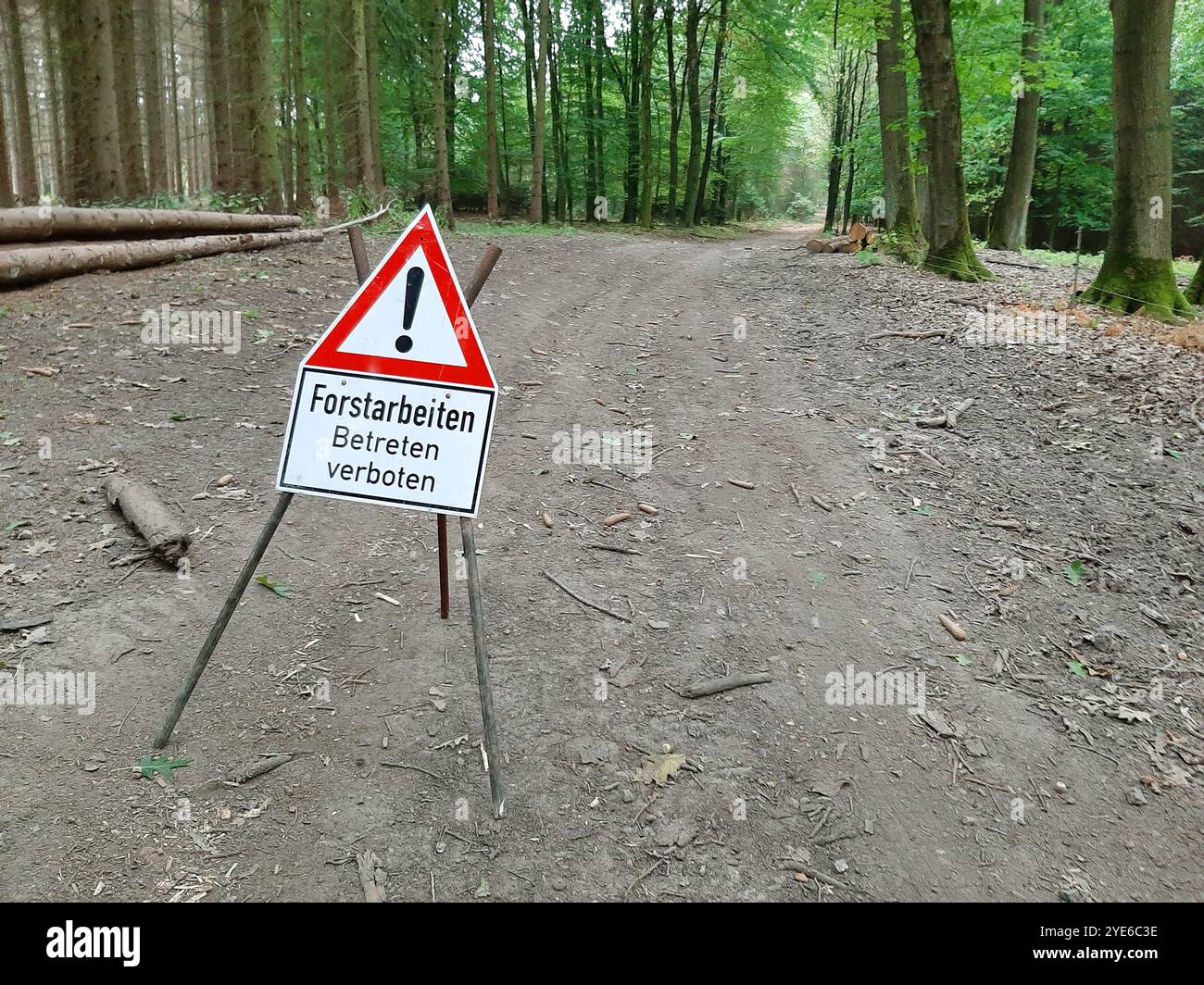 safety in the forest, warning sign for forestry work, Germany Stock ...