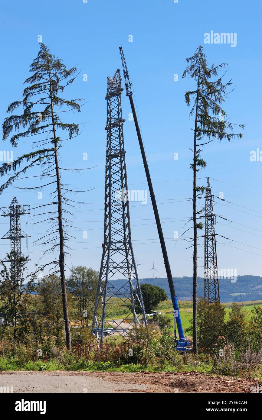 Dead poles hi-res stock photography and images - Alamy