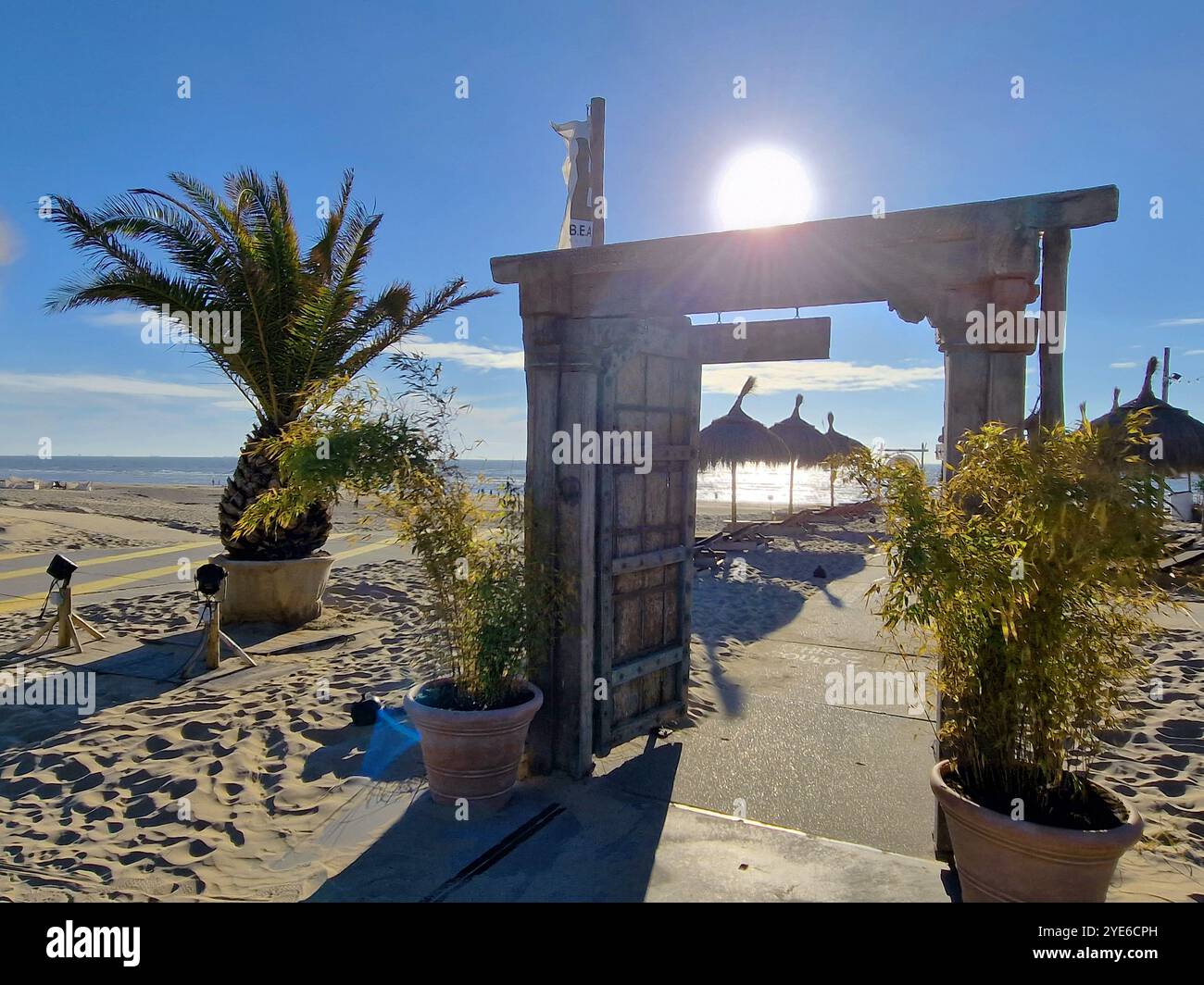 Entrance to beach gate tree hi-res stock photography and images - Alamy