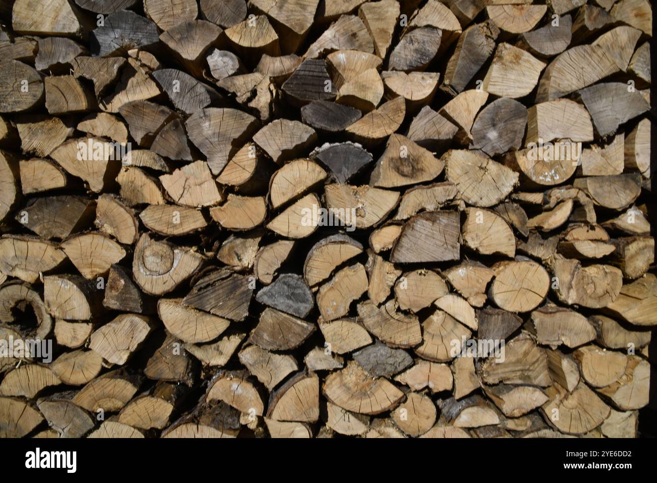 Stacked split wood drying in shed Stock Photo - Alamy