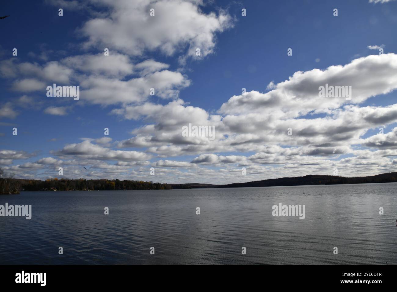 Stacked split wood drying in shed Stock Photo - Alamy