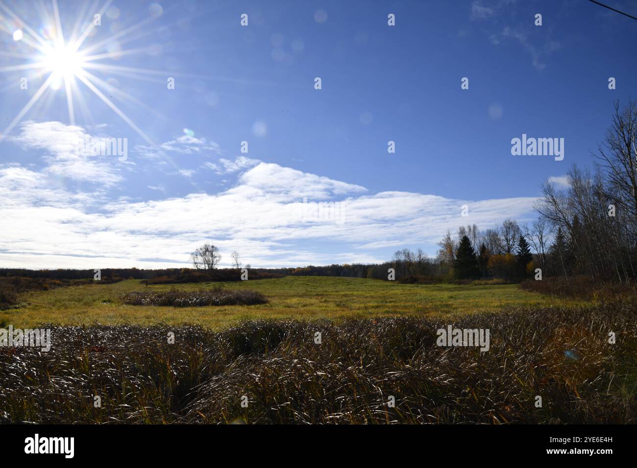 Drying in shed hi-res stock photography and images - Alamy