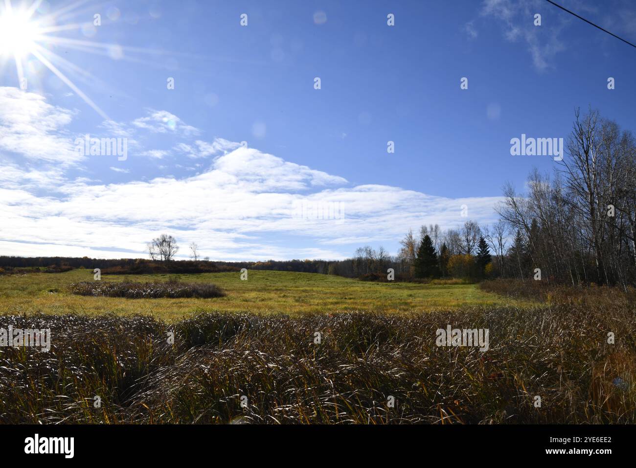 Stacked split wood drying in shed Stock Photo - Alamy