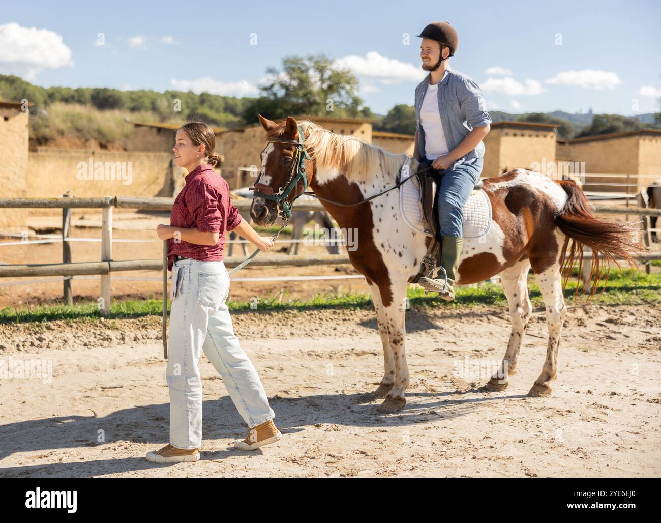Horseback riding during a tour of horse farm Stock Photo - Alamy