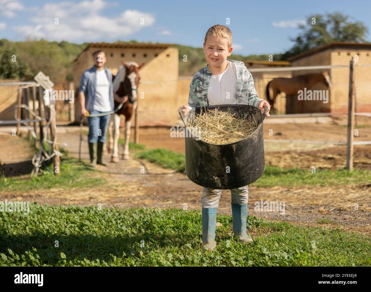 Boy with bucket of hay feed for horse Stock Photo - Alamy