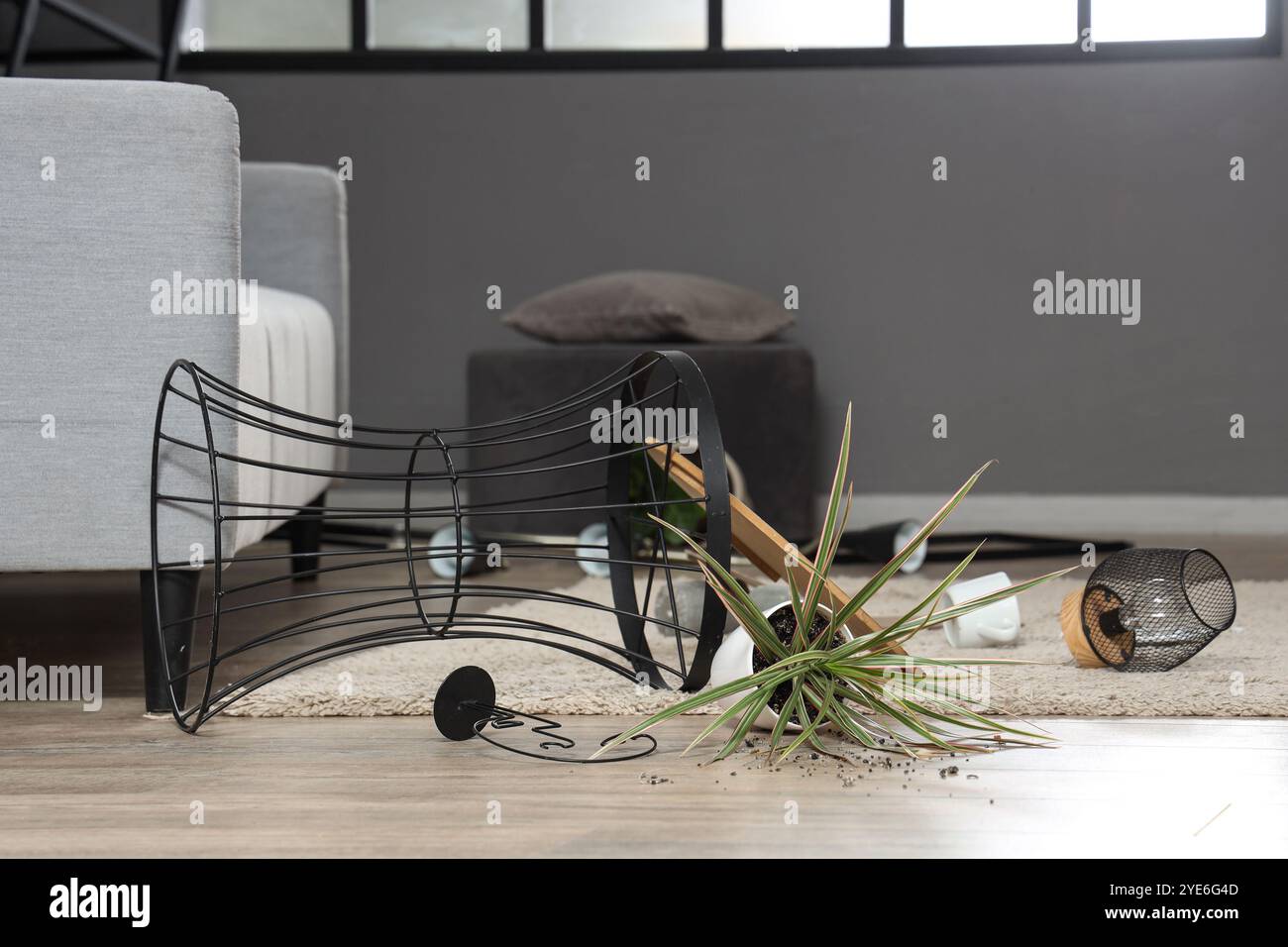 Overturned table with plant on carpet in messy room Stock Photo - Alamy