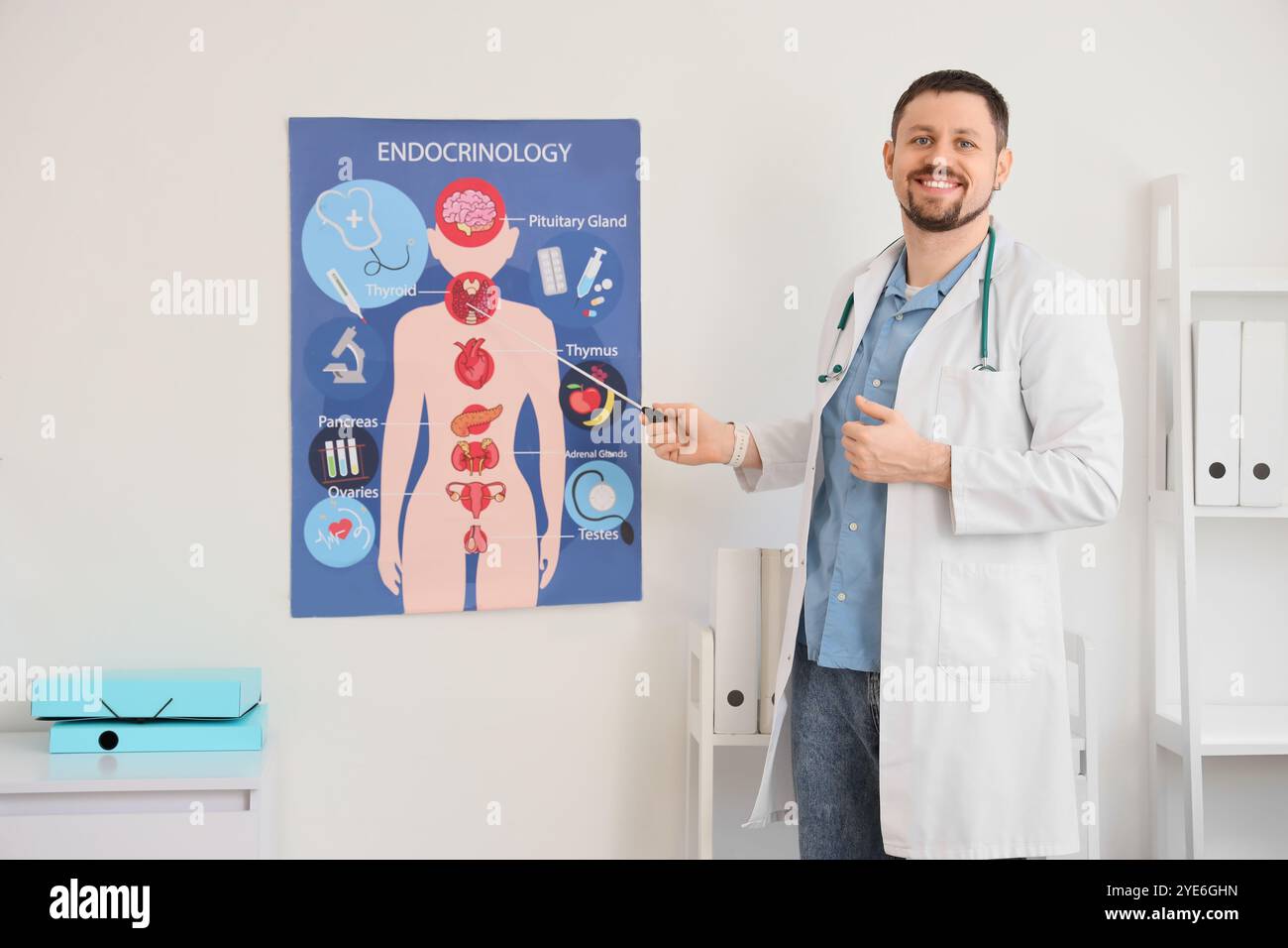 Male endocrinologist showing poster in clinic Stock Photo - Alamy
