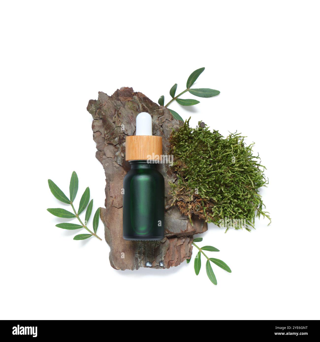 Composition with bottle of essential oil, tree bark, moss and plant ...