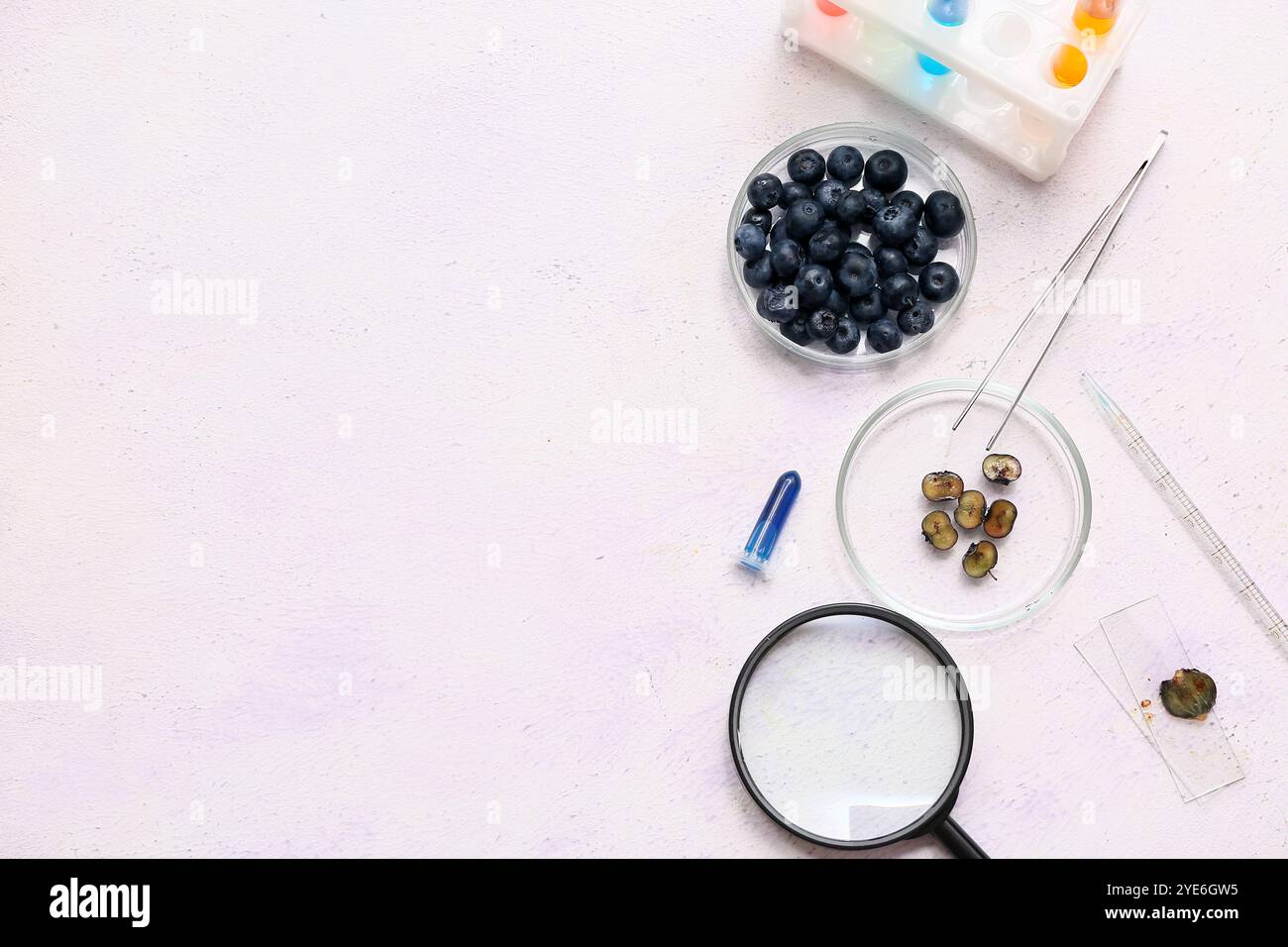 Professional laboratory glassware with blueberries, samples and ...