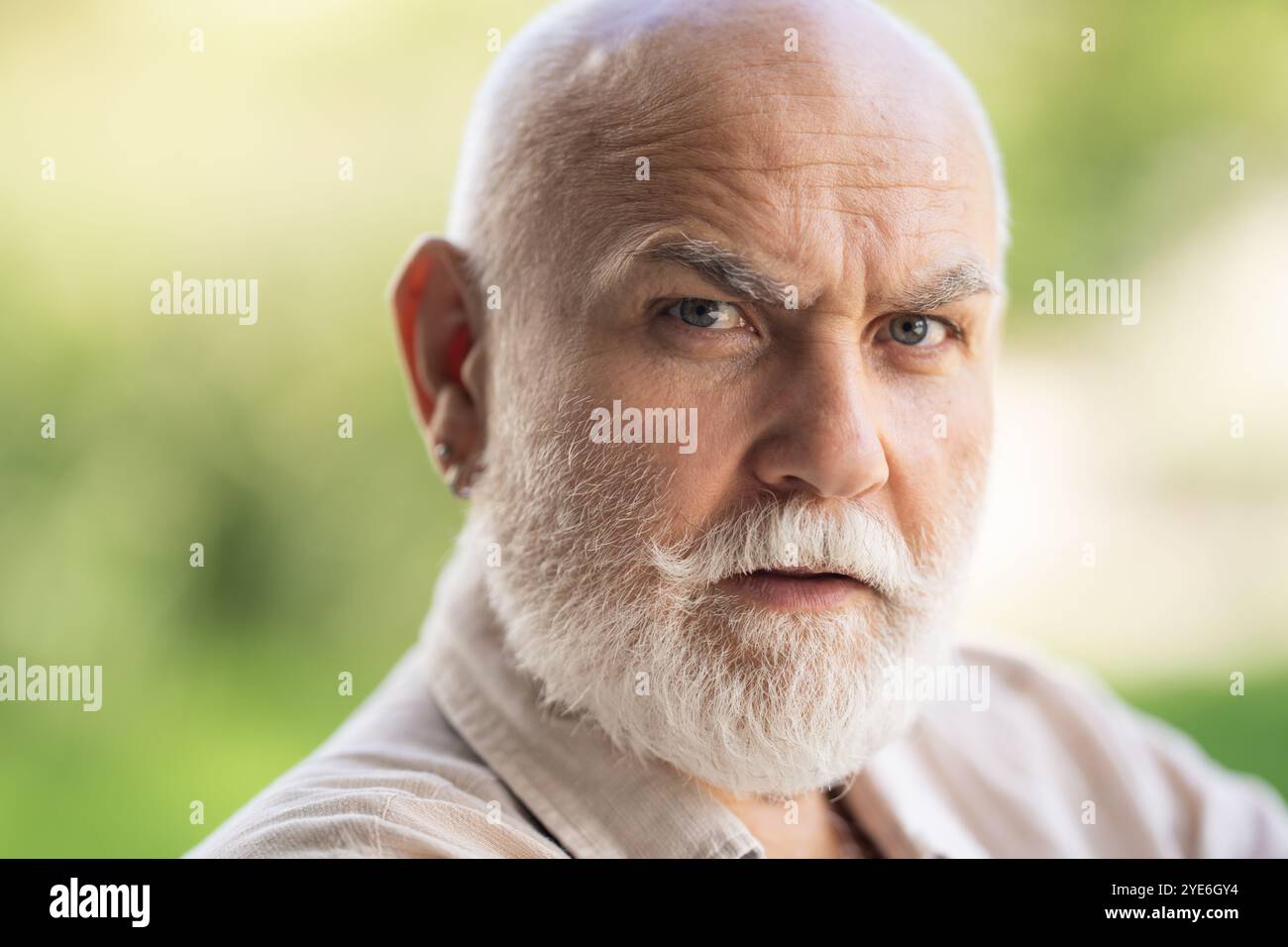Old man with Grey hair and white beard. Bearded Senior man. Face of ...