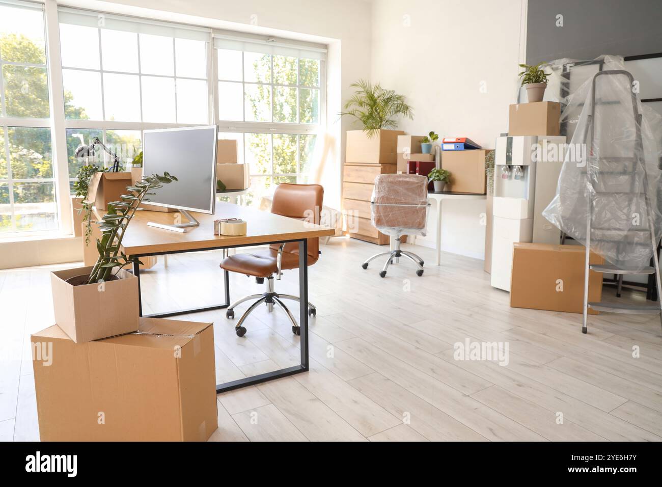 Desks with plants and boxes in office on moving day Stock Photo - Alamy