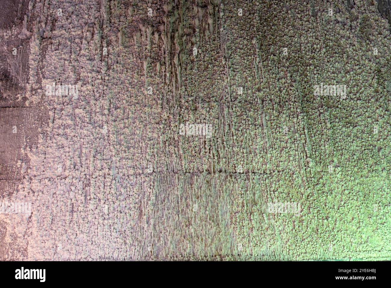 Salt wall texture background at Unirea salt mine, Slanic Prahova ...