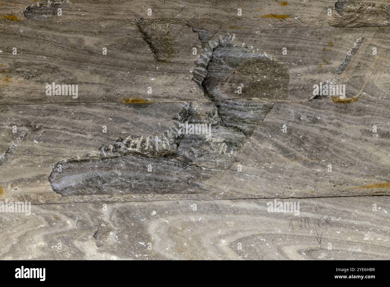 Salt wall texture background at Unirea salt mine, Slanic Prahova ...