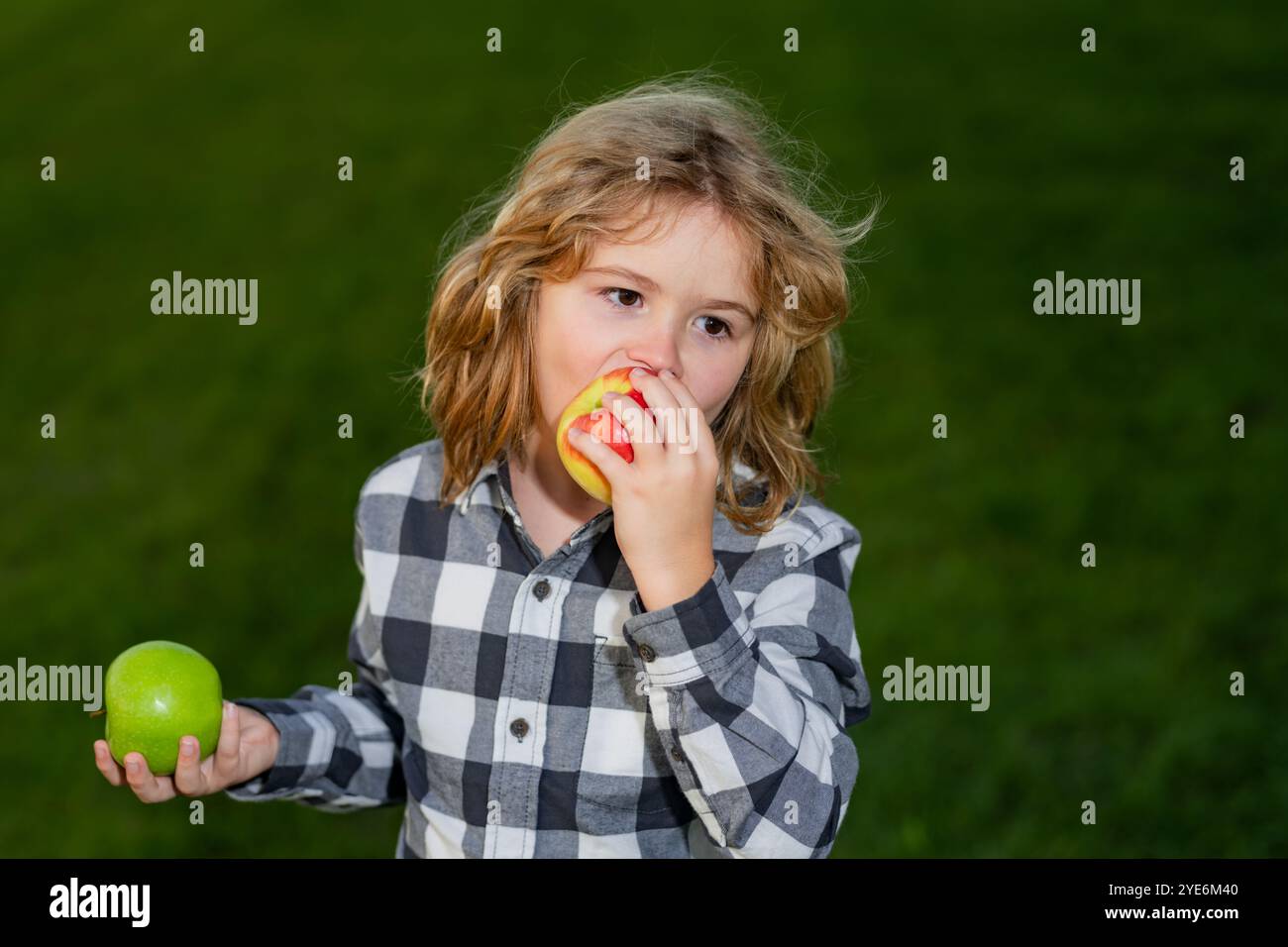 Fresh apple for kids. Portrait of kid biting an apple. Child bites big ...