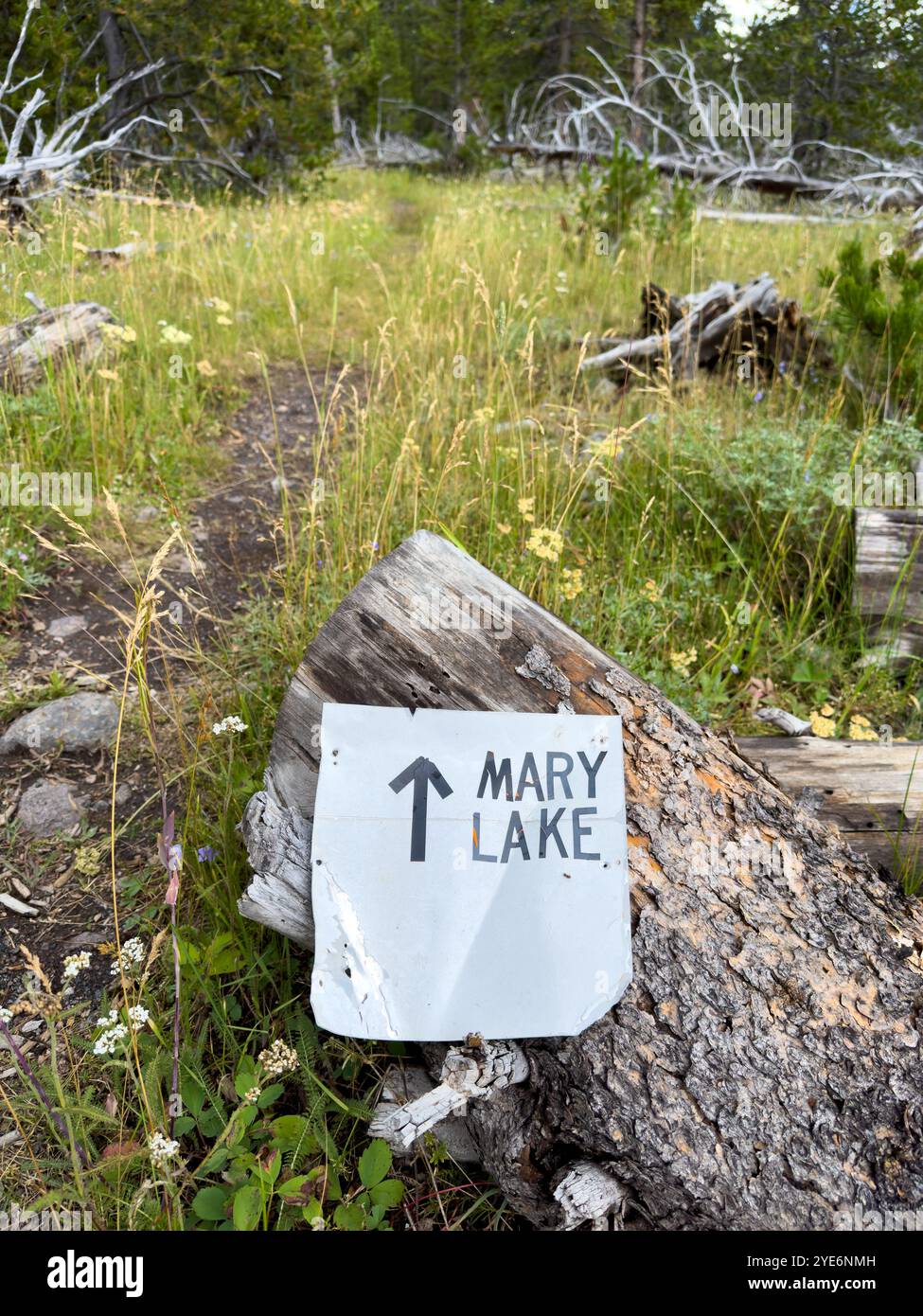 Homemade Mary Lake Sign Points Hikers Toward Landmark in Yellowstone ...