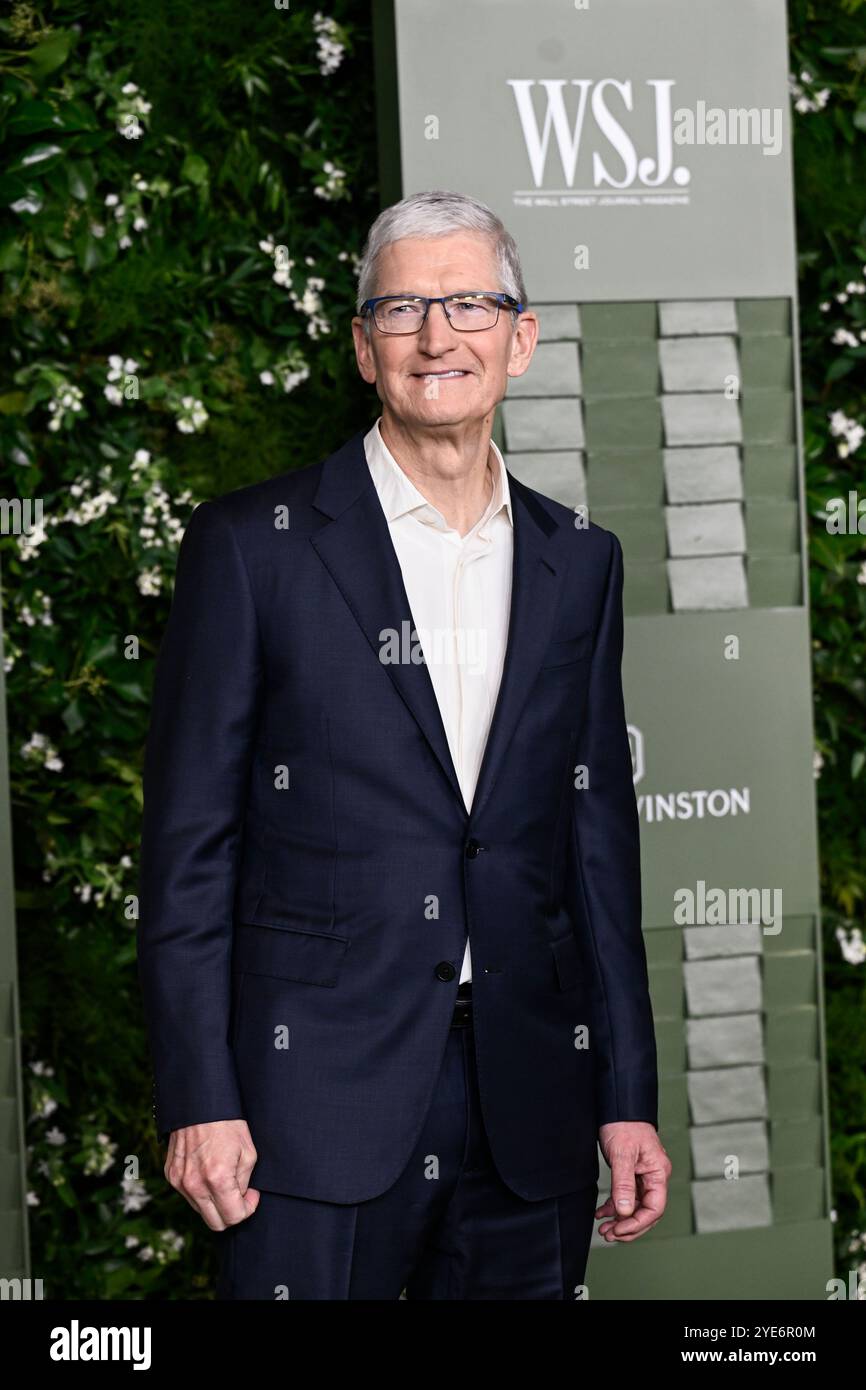 Tim Cook attends the WSJ. Magazine Innovators Awards at the Museum of ...