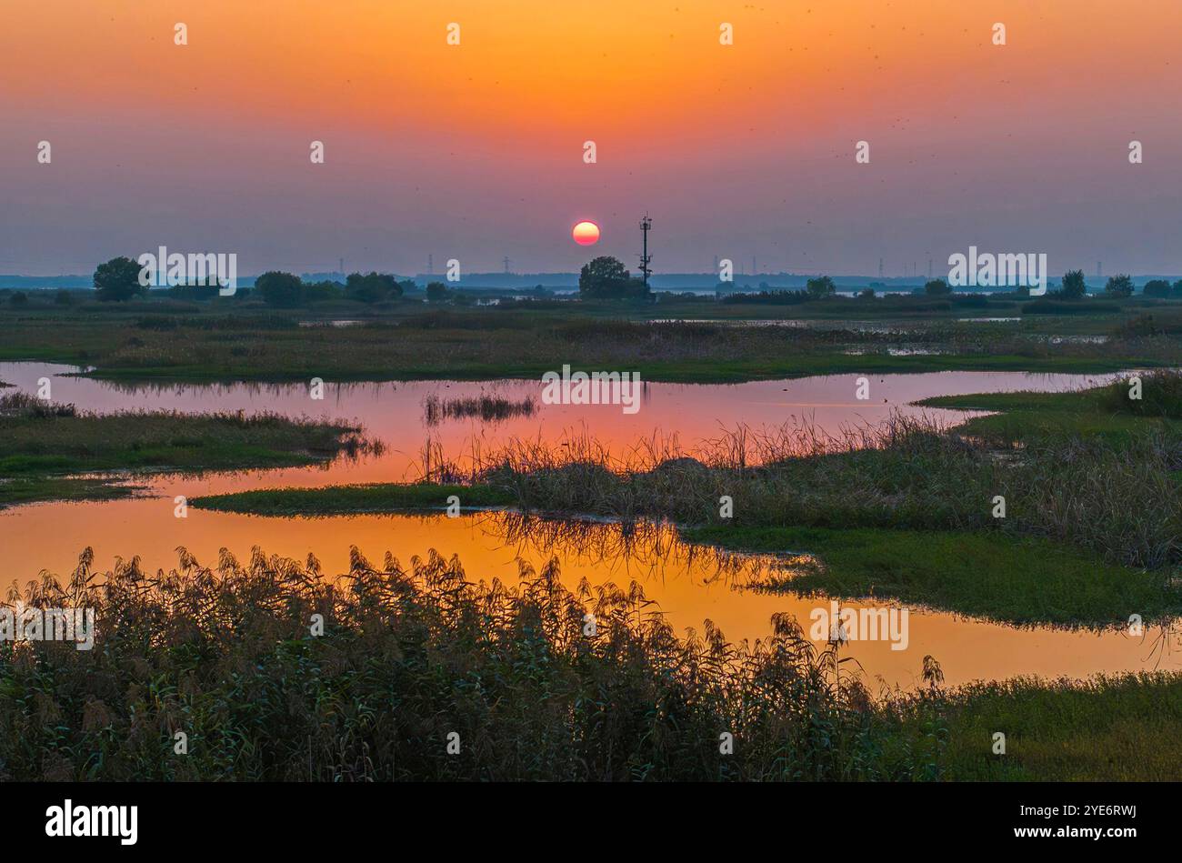 SUQIAN, CHINA - OCTOBER 30, 2024 - The first batch of winter migratory ...