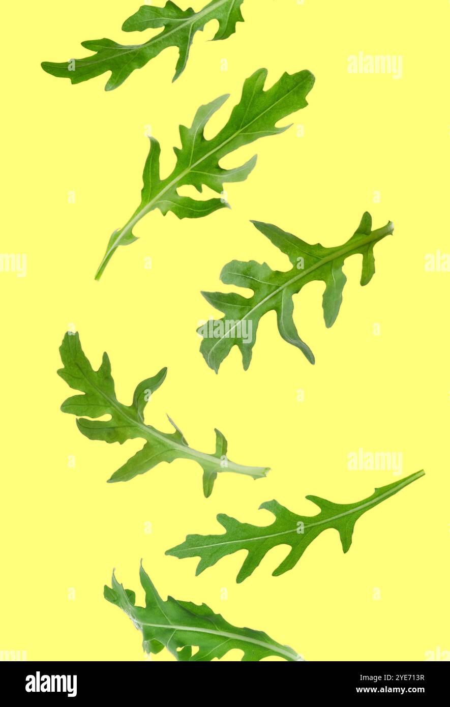 Fresh green arugula in air on yellow background Stock Photo - Alamy