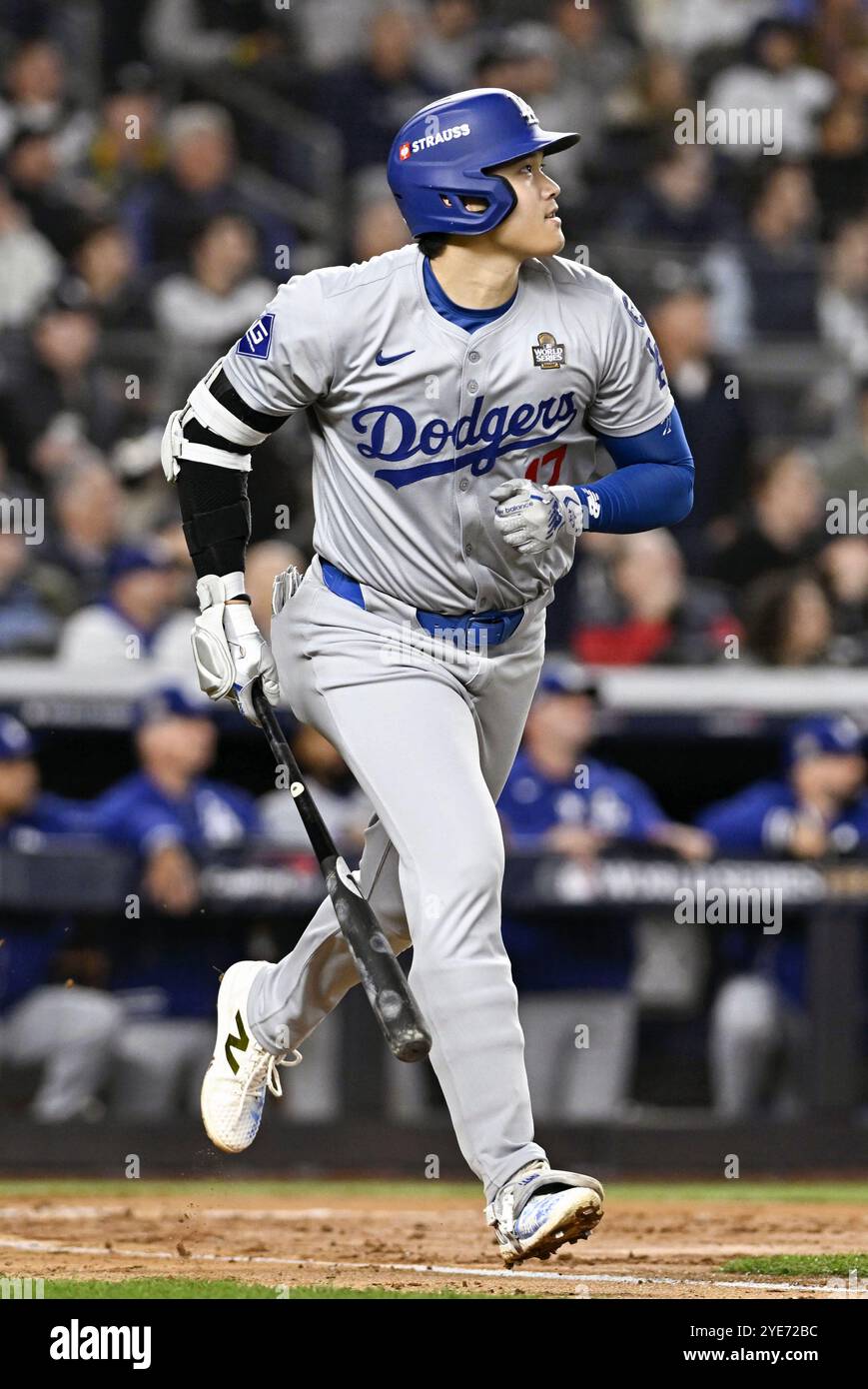 Los Angeles Dodgers designated hitter Shohei Ohtani flies out in the ...