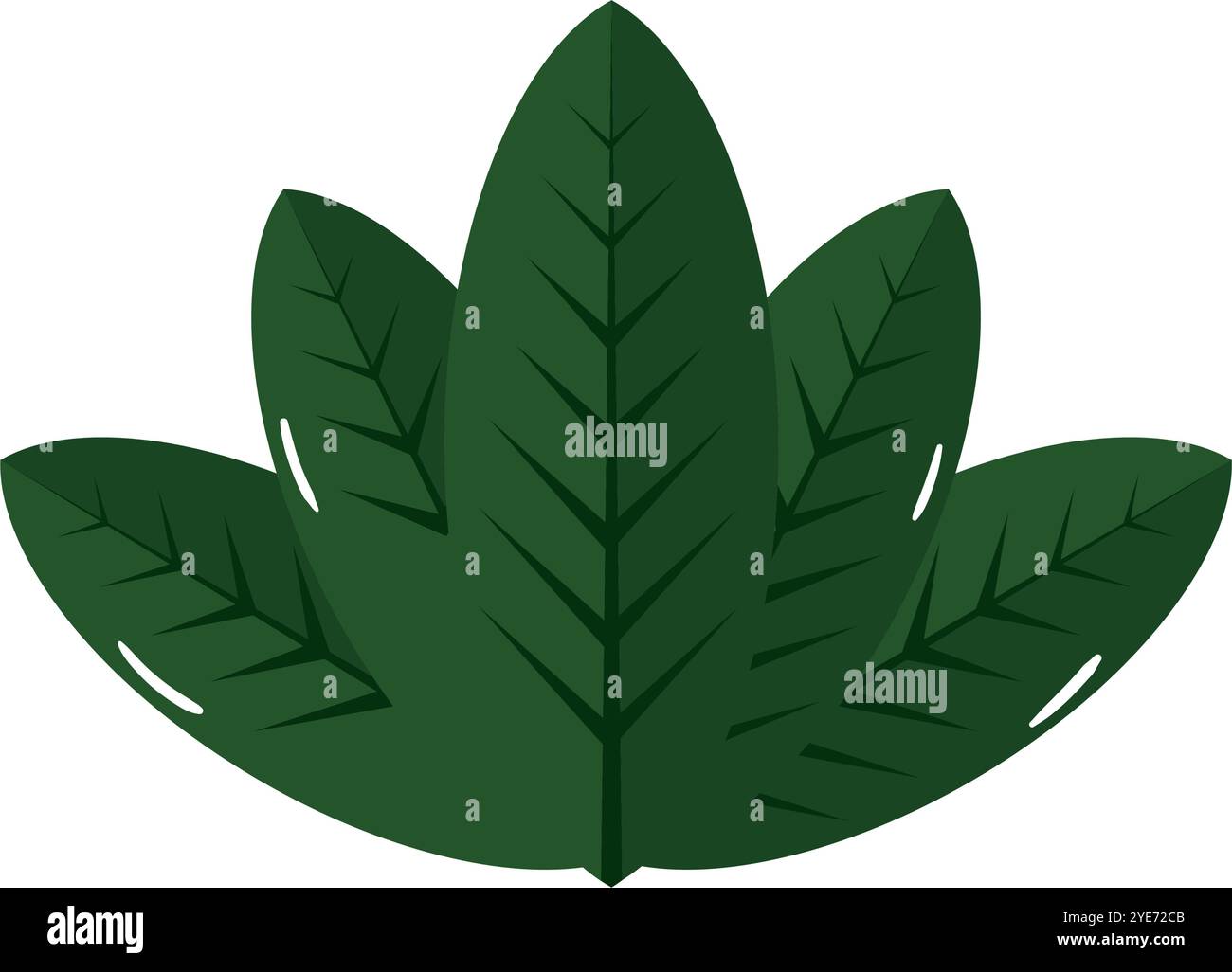 green leaf nature element Stock Vector Image & Art - Alamy