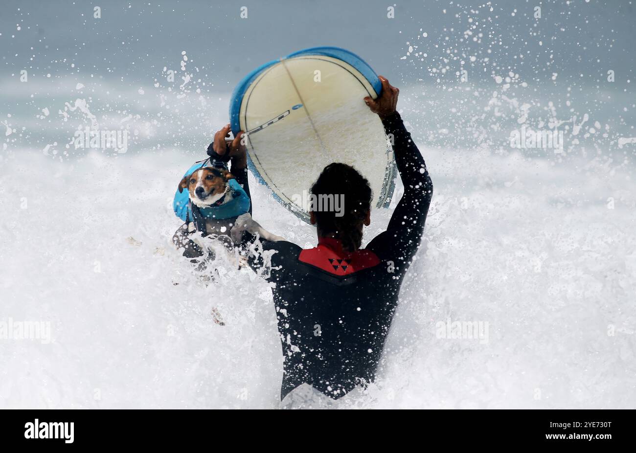 Rio de Janeiro, Brazil. 29th Oct, 2024. Holding the life vest of his ...