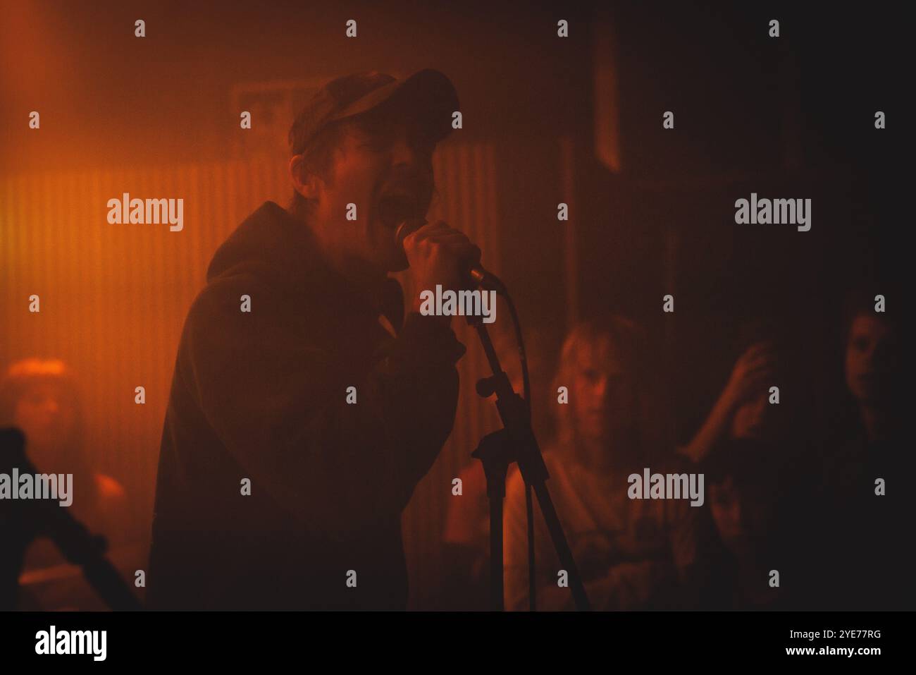 Copenhagen, Denmark. 29th, October 2024. The American singer and artist ...